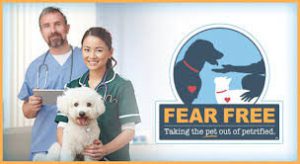 Fear Free® - Respectful Communications Animal Training LLC